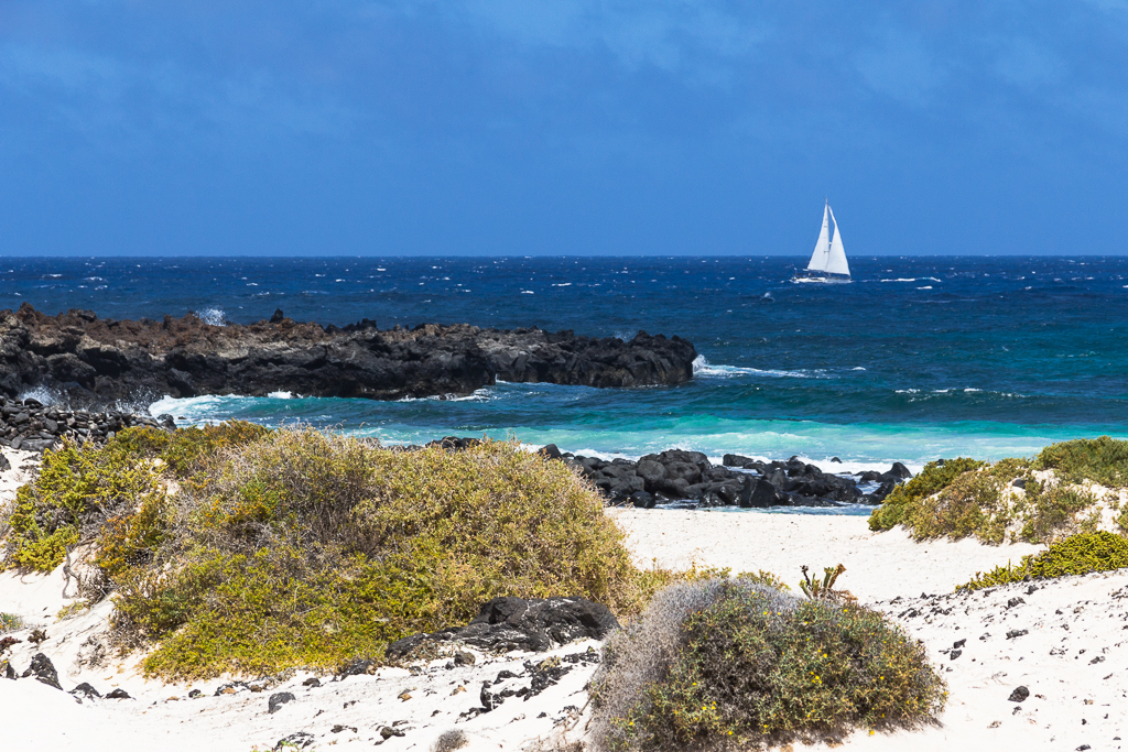 HOME - Eva Feldweber